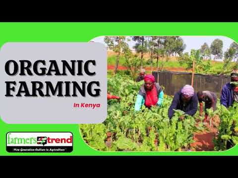 Organic Farming In Kenya: Exploring the Benefits and Challenges