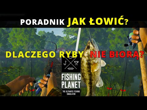 Fishing Planet - Jak Łowić i dlaczego Ryby NIE BIORĄ? Poradnik dla początkujących wędkarzy