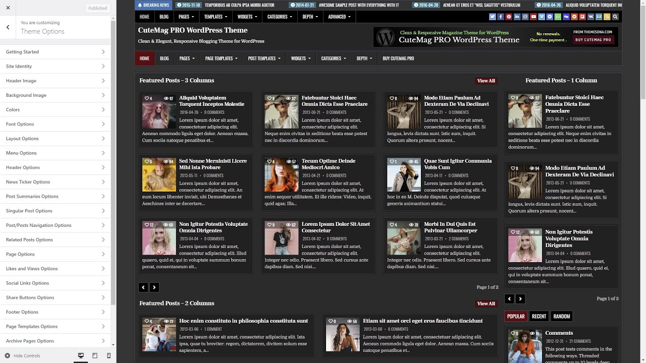 Customizer Theme Options - CuteMag PRO WordPress Theme