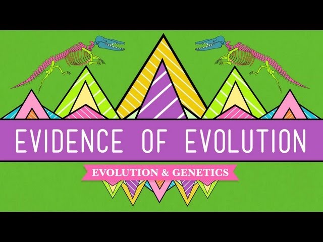 Understanding Evolution: The Science Behind Life's Diversity | Galaxy.ai | Galaxy.ai