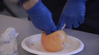 Improvised Wound Packing Simulator