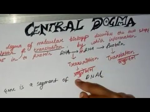 Central dogma of molecular biology