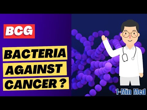 Bacillus Calmette-Guerin (BCG) Immunotherapy And Future Implications