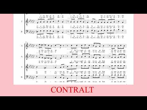 Lola Soler, Havanera, CONTRALT