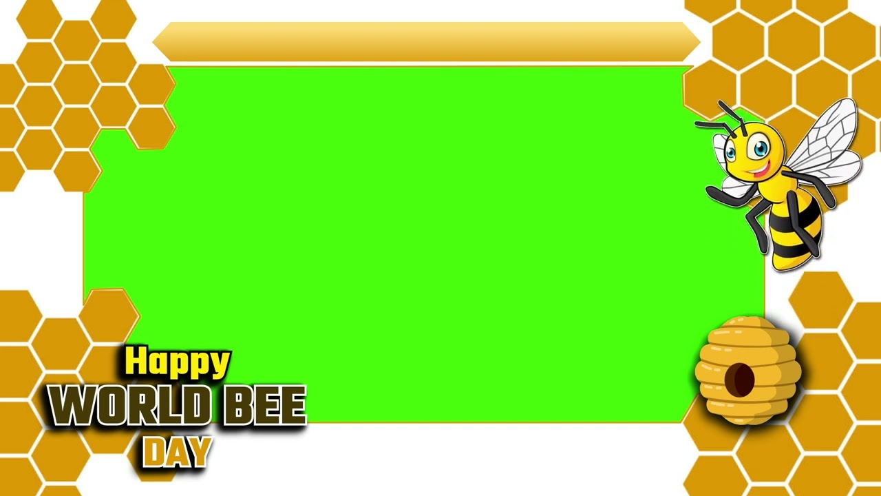 Happy world bee Day Free to use Green Screen