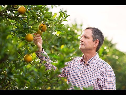 Life in the Groves: A Family Business