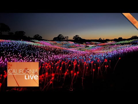 The Most Spectacular Light Installation You'll Ever See | California Live | NBCLA
