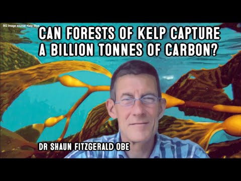 Dr Shaun Fitzgerald OBE - Can Forests of Kelp Capture A BILLION TONNES of carbon?