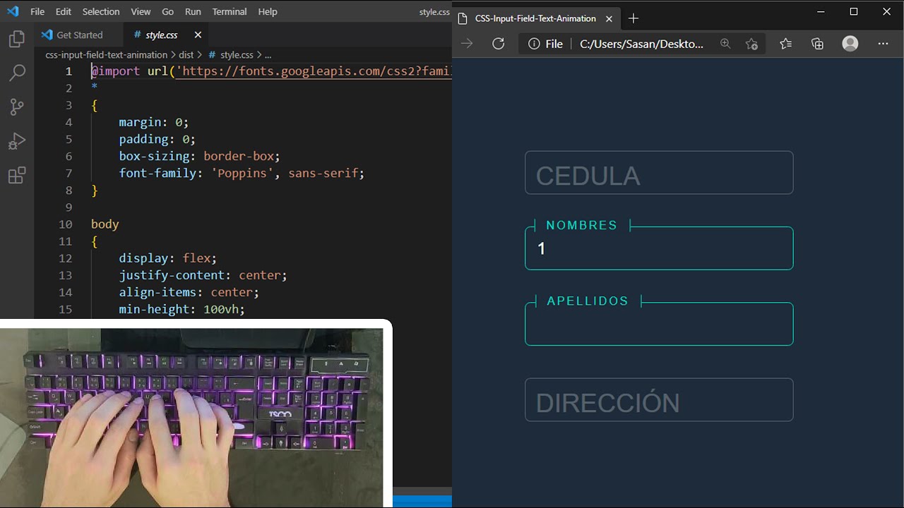 ASMR Programming - Input Field Text Animation using HTML CSS - No Talking