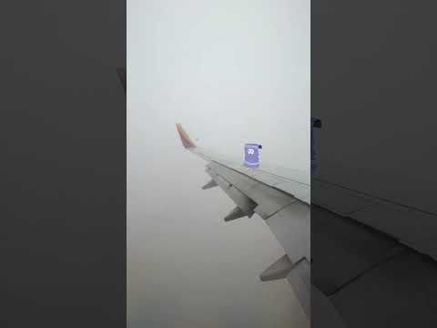 Southwest Flights from Las Vegas to San Diego with special guest appearance #Towelie