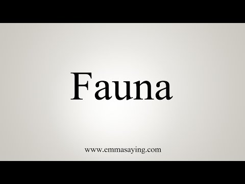 How To Say Fauna