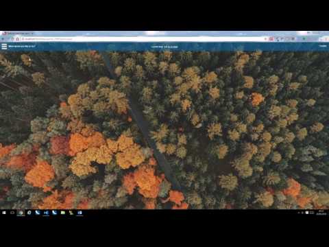 Adding Aligned Assets SinglePoint Web Service to SIS WebMap