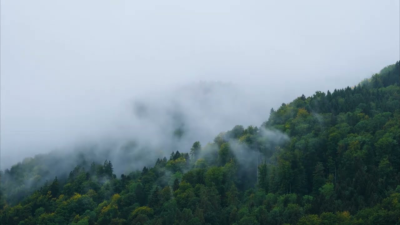 PHP Generators Interview Questions  - Link in Description