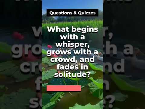 Funny Questions