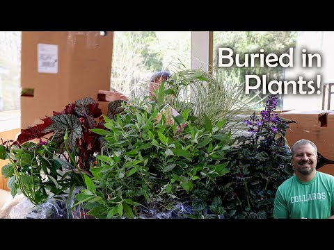 New Plant Unboxing