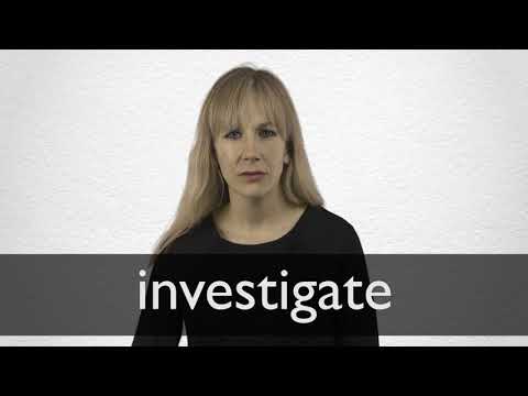 INVESTIGATE Synonyms | Collins English Thesaurus