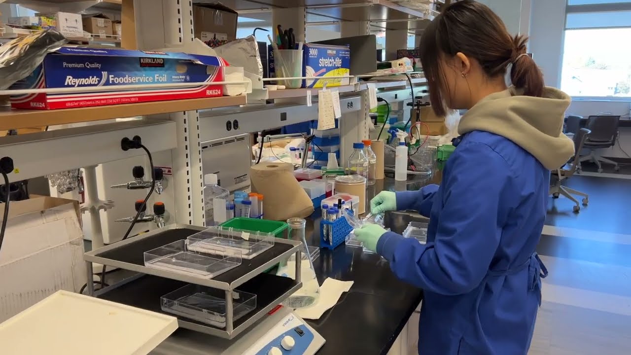 Zhao Lab