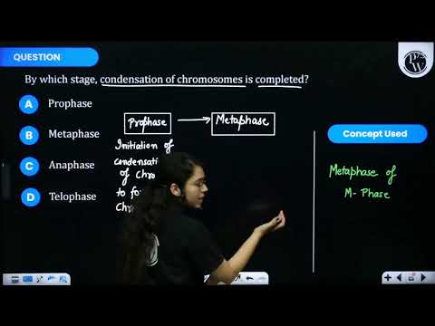 By which stage, condensation of chromosomes is completed?...