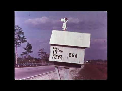 Everglades Region: An Ecological Study (1972) Florida swamps