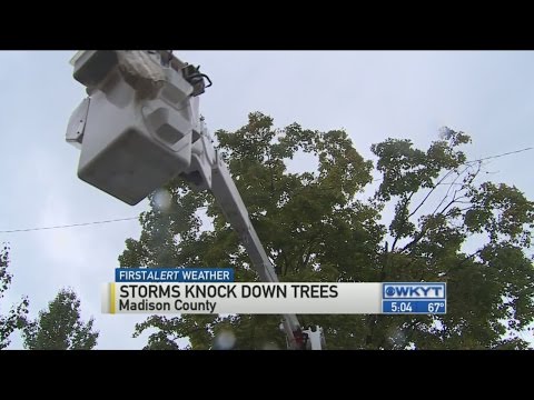 Richmond storm damage