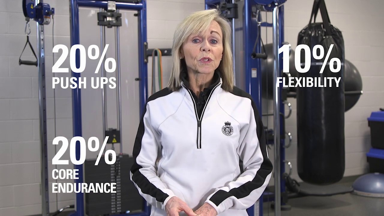 Ontario Fitness PIN Test Overview