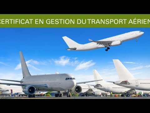 Séance d'information: Certificat en gestion du transport aérien