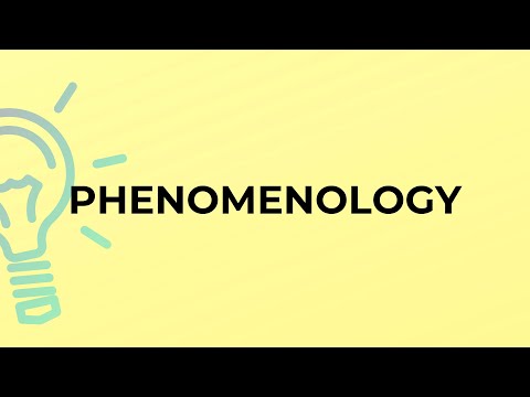 What is the meaning of the word PHENOMENOLOGY?