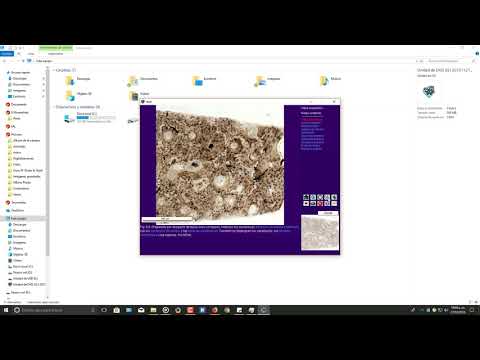 Histología explorer de Finn Geneser para Windows