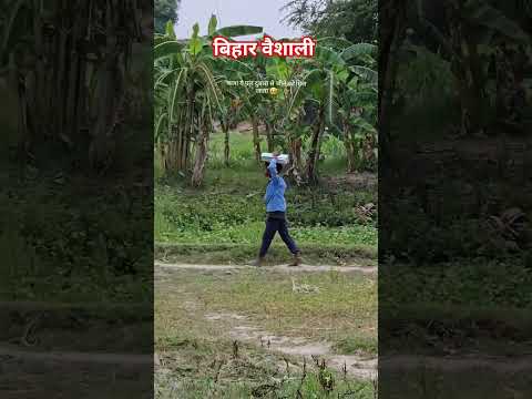 incredible india#short