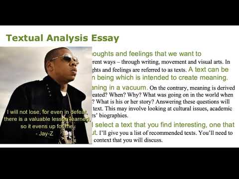 Rhetorical/Textual Analysis Essay Assignment, Video #1