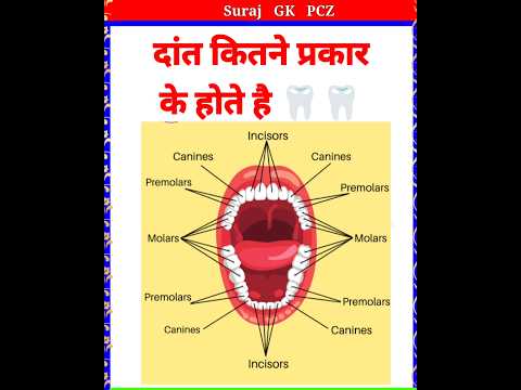 दांत के प्रकार 🦷| Types of teeth | incisors, canines,Premolars & Molars | #shorts #upsc #gk