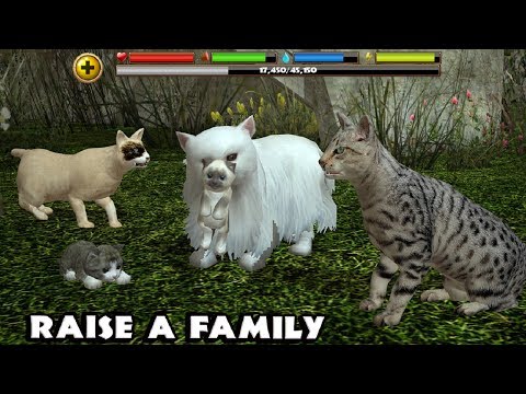 Stray Cat Simulator -Raise a Family- Android/iOS - Gameplay