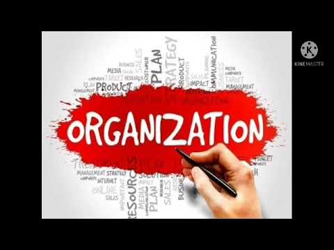 Organization _Short view (Tamil Translation)