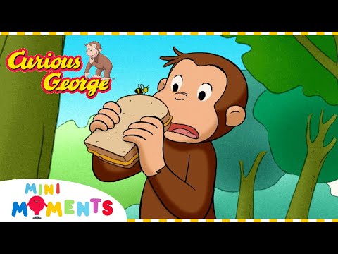 George Learns about Bees | Curious George | 20 Minutes | Mini Moments