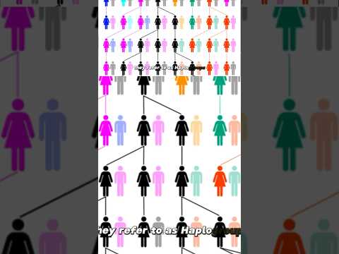 What are Haplogroups? #education #haplogroups #genetics #blackhistorymonth