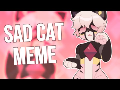 SAD CAT DANCE || MEME