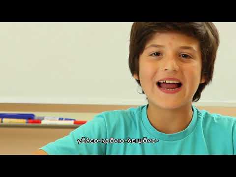 The longest word - Gnomon Ancient Greek Language, History and Culture School
