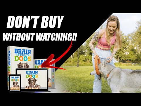 Brain Training for Dogs Review By a Professional Dog Trainer
