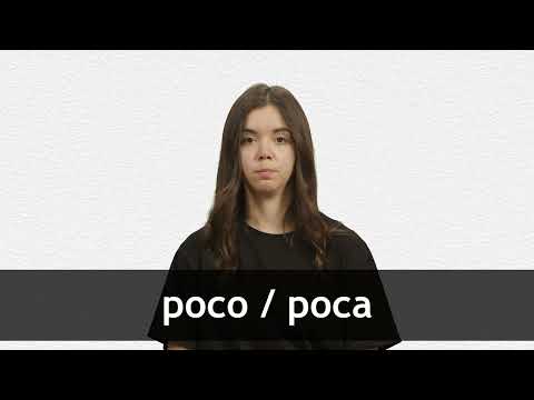 English Translation of “POCO” | Collins Spanish-English Dictionary