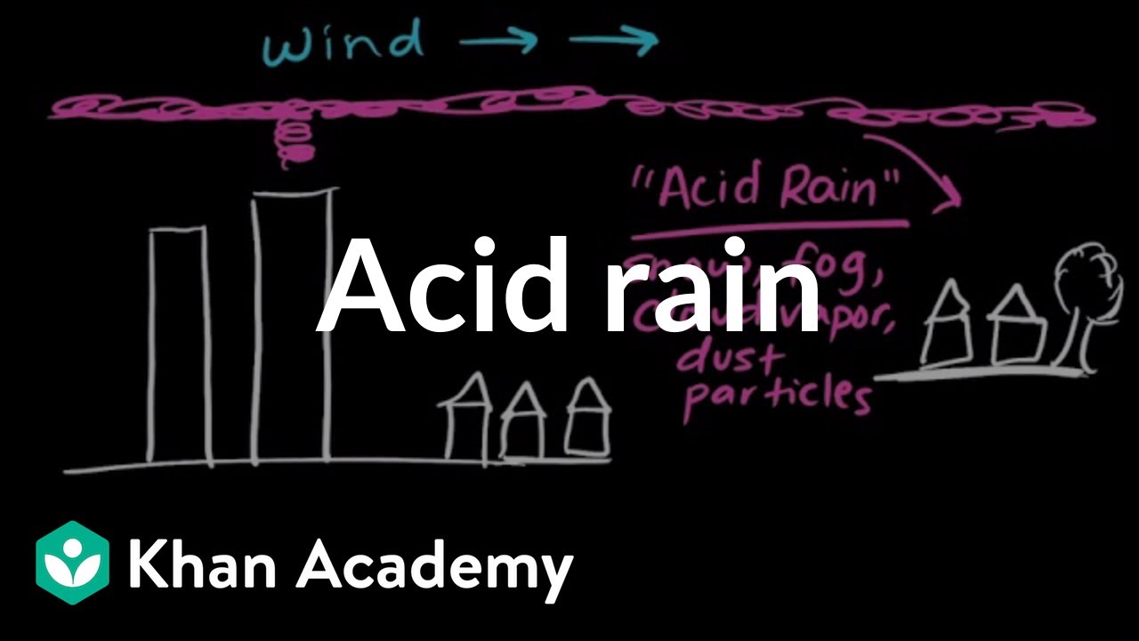 Understanding Acid Rain: Causes, Effects, and Solutions | Galaxy.ai