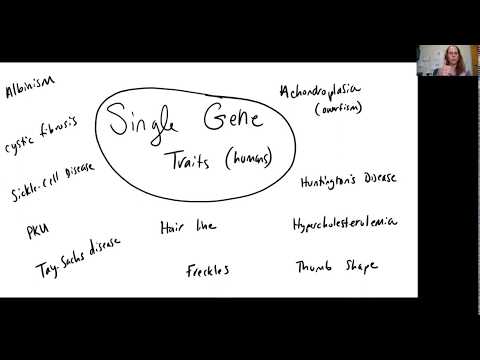 Bio 1010 Lecture 9.4 Single Gene Traits
