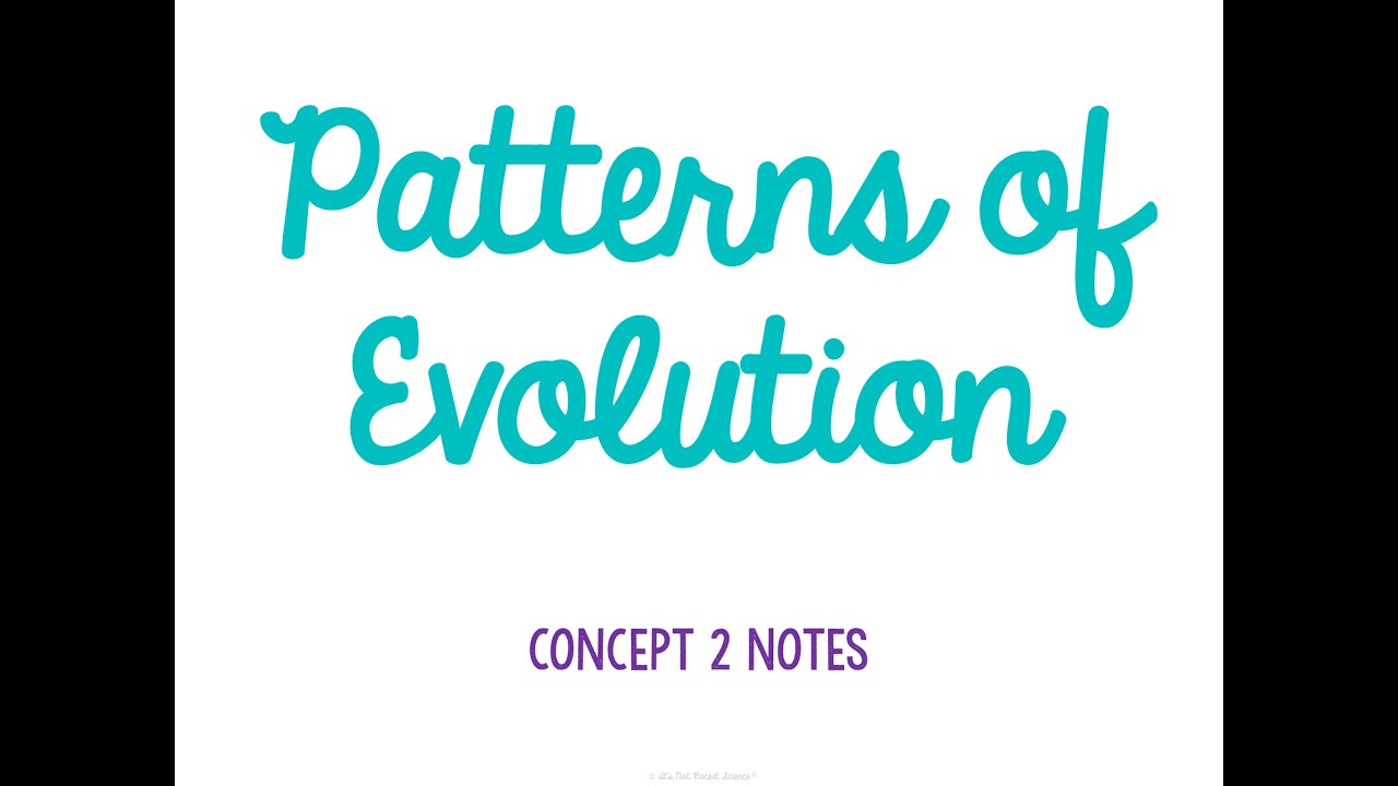 Unit 6 Evolution Concept 2 Notes *UPDATED*