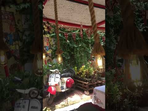 ✨Garden Cafe - Chandor