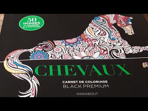 Présentation: Chevaux Carnet de coloriages Marabout