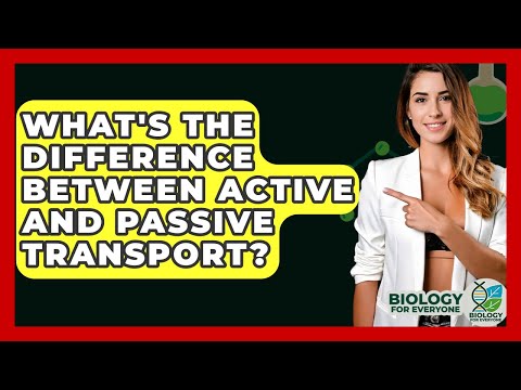 What's The Difference Between Active And Passive Transport? - Biology For Everyone