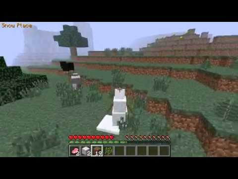 Mod Showcase- Shape-Shifter Mod