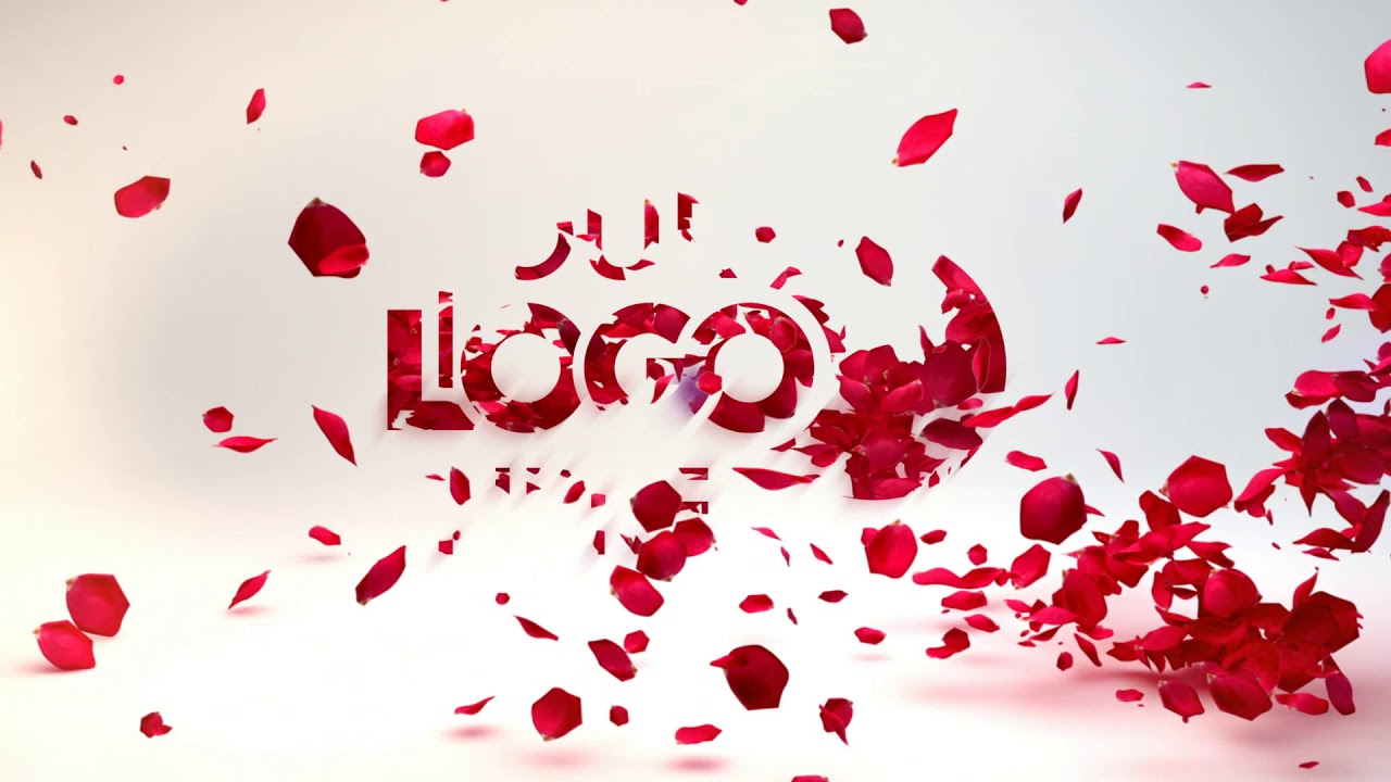 528 c1   Flower Leeds Logo Animation
