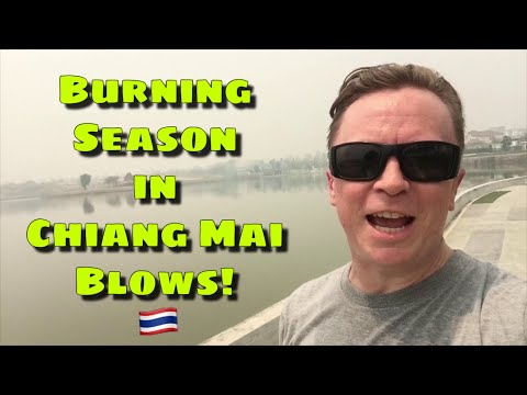 Burning Season in Chiang Mai Blows! 🇹🇭