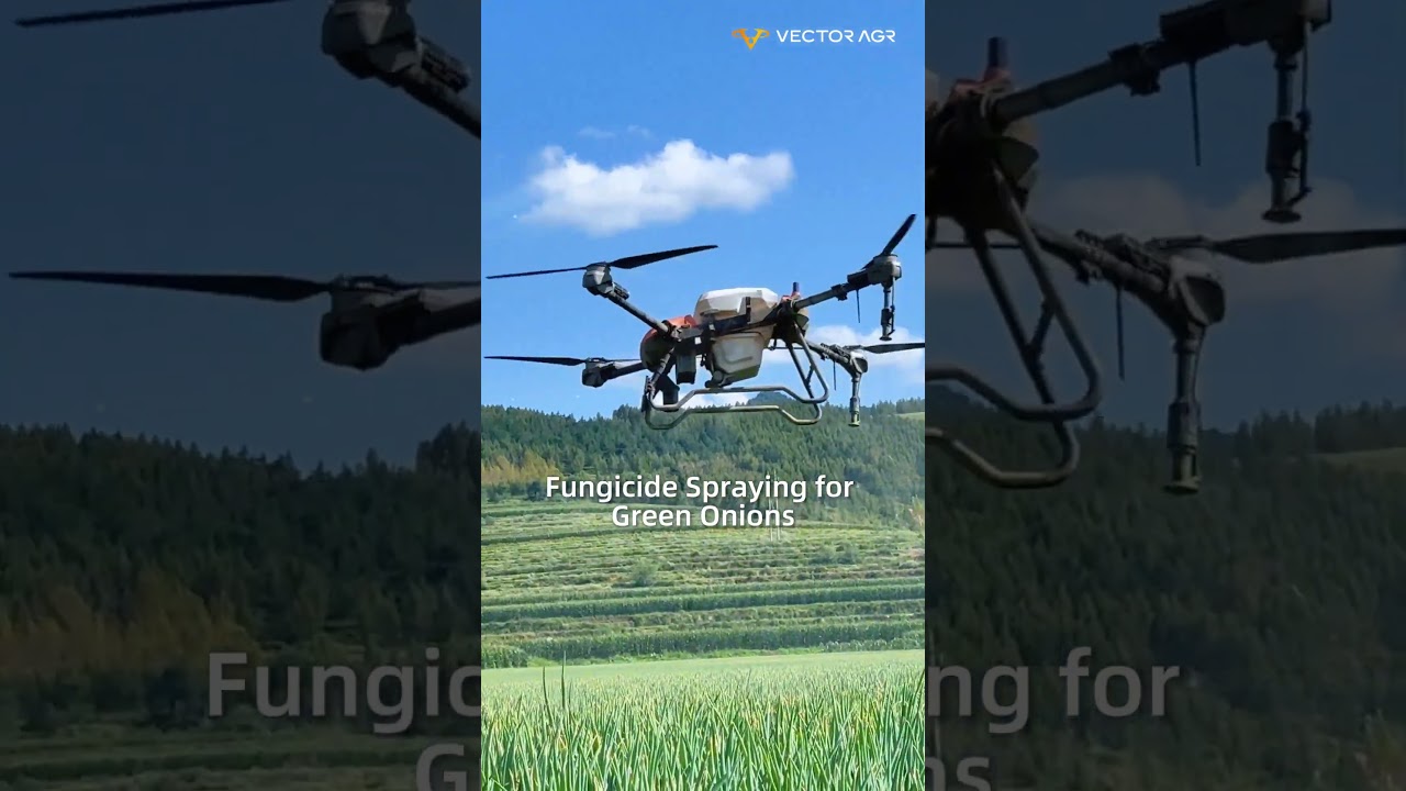 Vector AGR agricultural drone HD580 Fungicide Spraying for Green Onion #drone #farming
