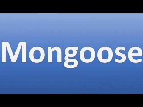 How to Pronounce Mongoose